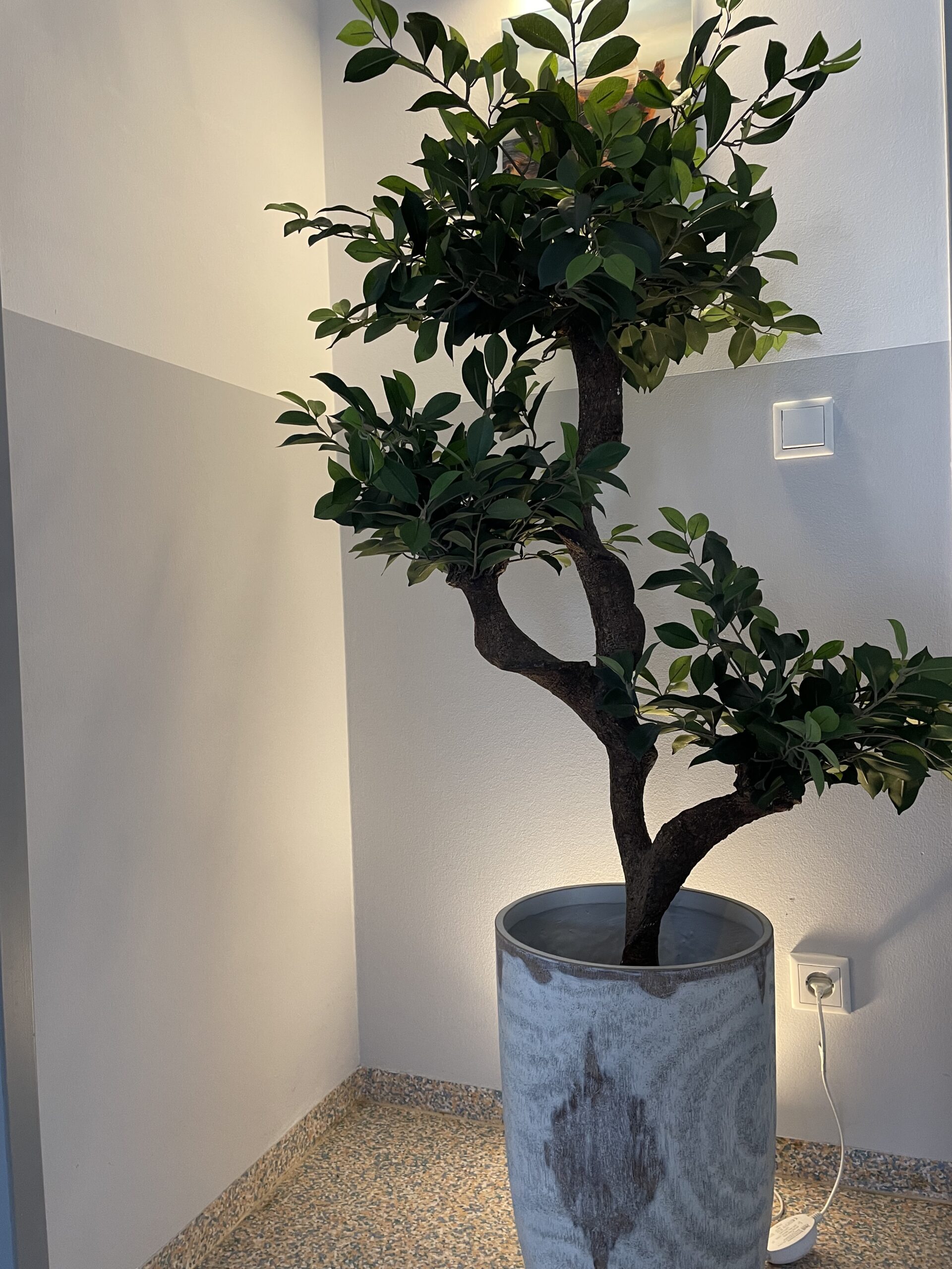 Über uns - Heilpraxis Carsten Jung