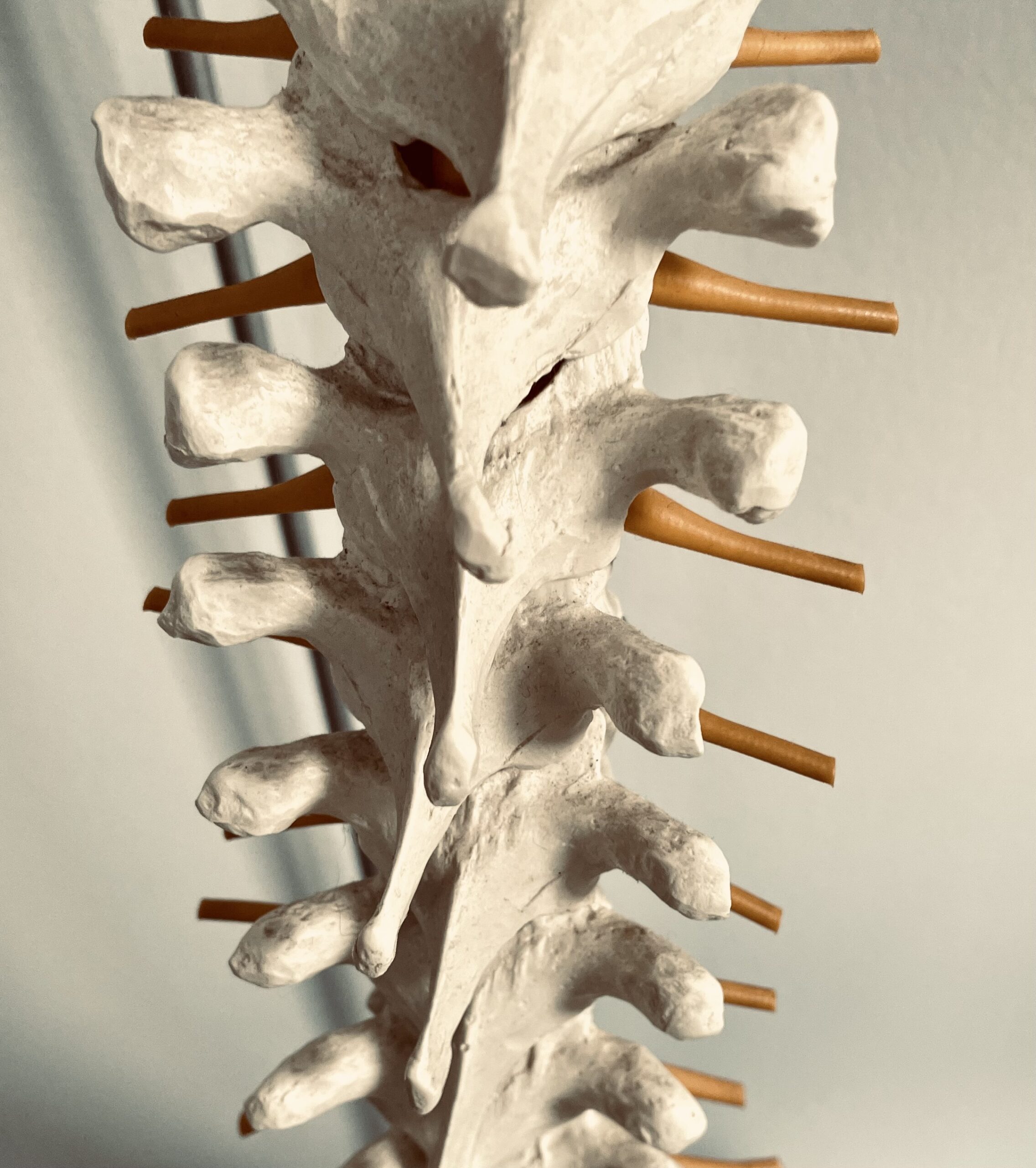 Über uns - Heilpraxis Carsten Jung